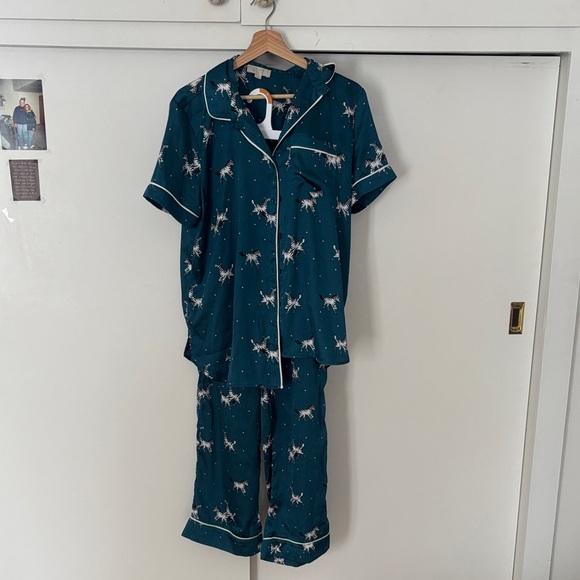 LOFT | Intimates & Sleepwear | Teal Womens Loft Zebra Pajama Set | Poshmark